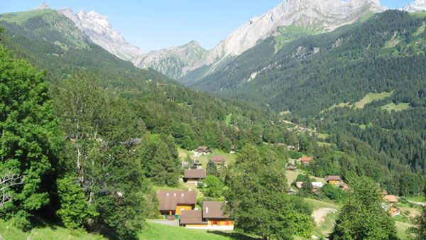 Property Barboleuse - Swiss Chalet Sales