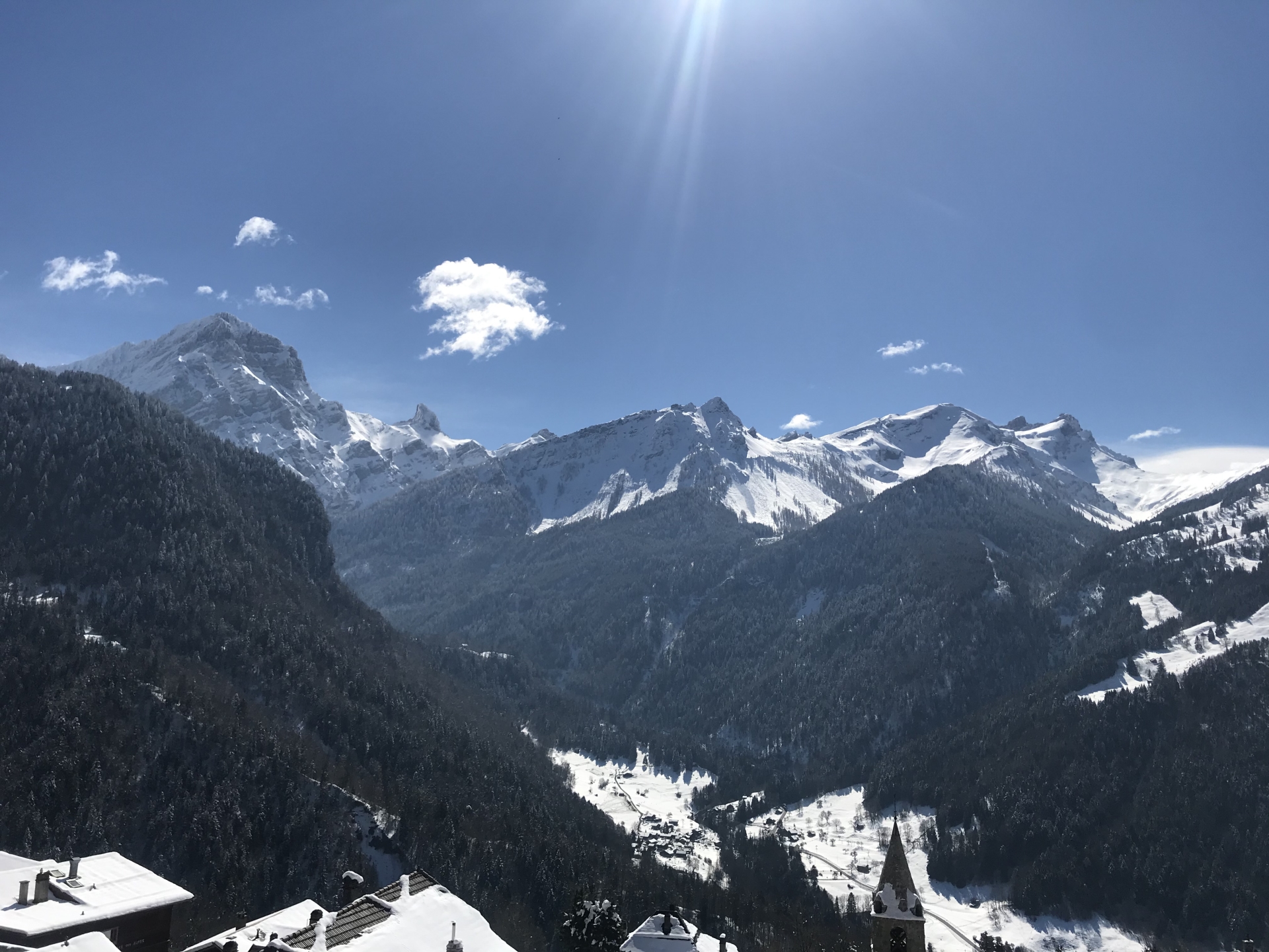 Property Gryon - Swiss Chalet Sales