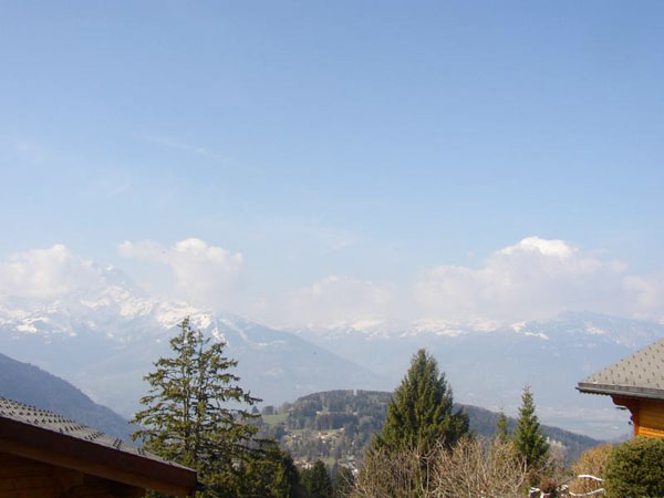 Property Les Frasses - Swiss Chalet Sales