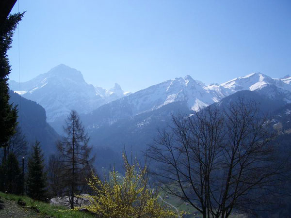 Property Les Frasses - Swiss Chalet Sales