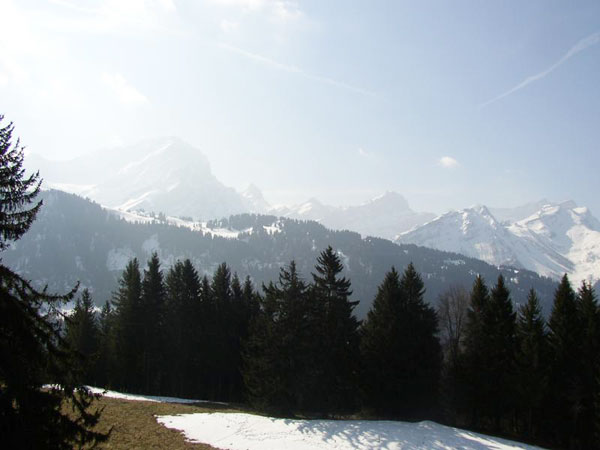 Property Les Frasses - Swiss Chalet Sales