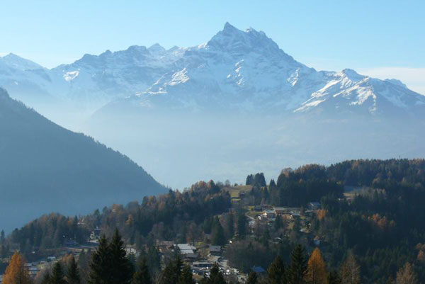 Property Les Frasses - Swiss Chalet Sales