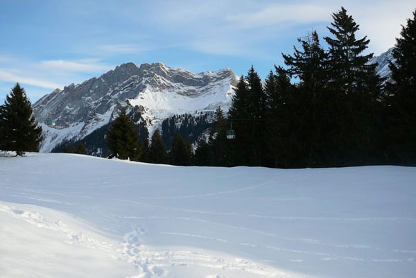Property Les Frasses - Swiss Chalet Sales